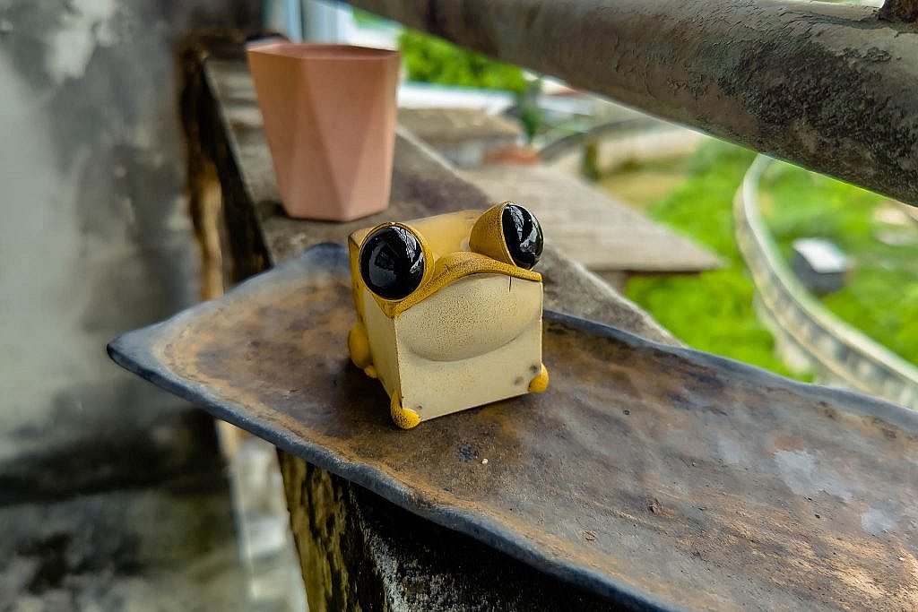และแล้วก็ได้มา Sank Cube Forest Frog กบสีเหลืองในซีรี่ส์ Sank Cube – uptoGu